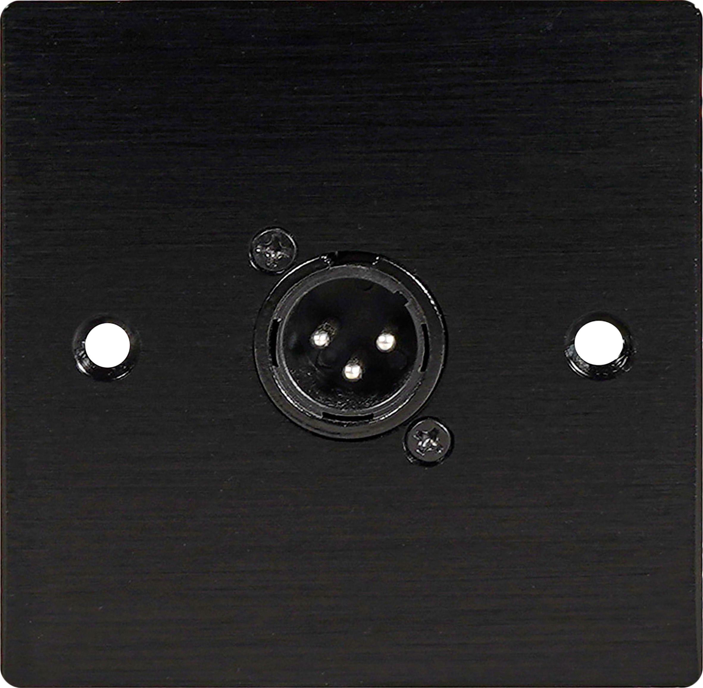 1 x Male XLR Wall Plate Metal | Electrovision