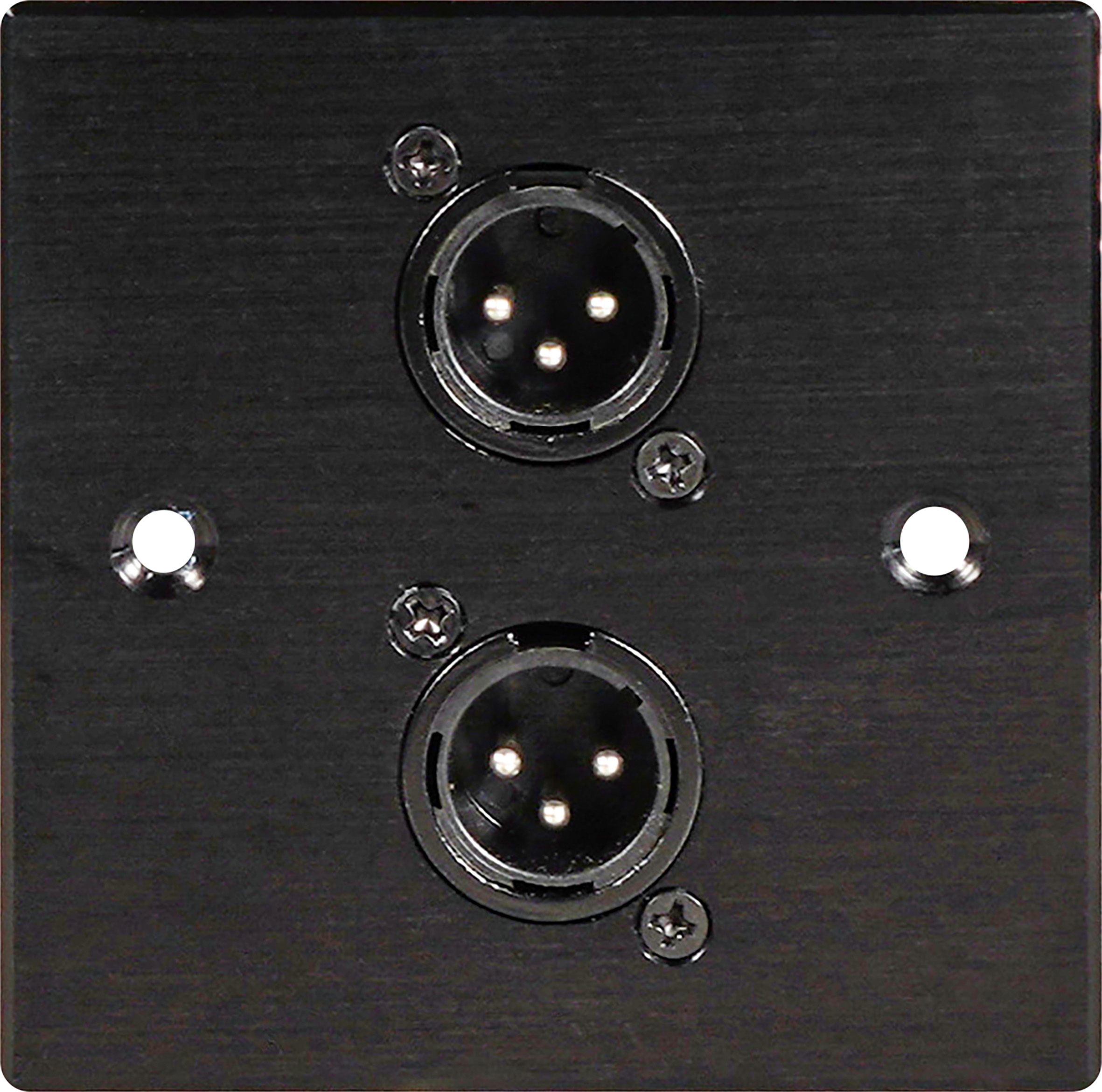 2 x Male XLR Wall Plate Metal | Electrovision