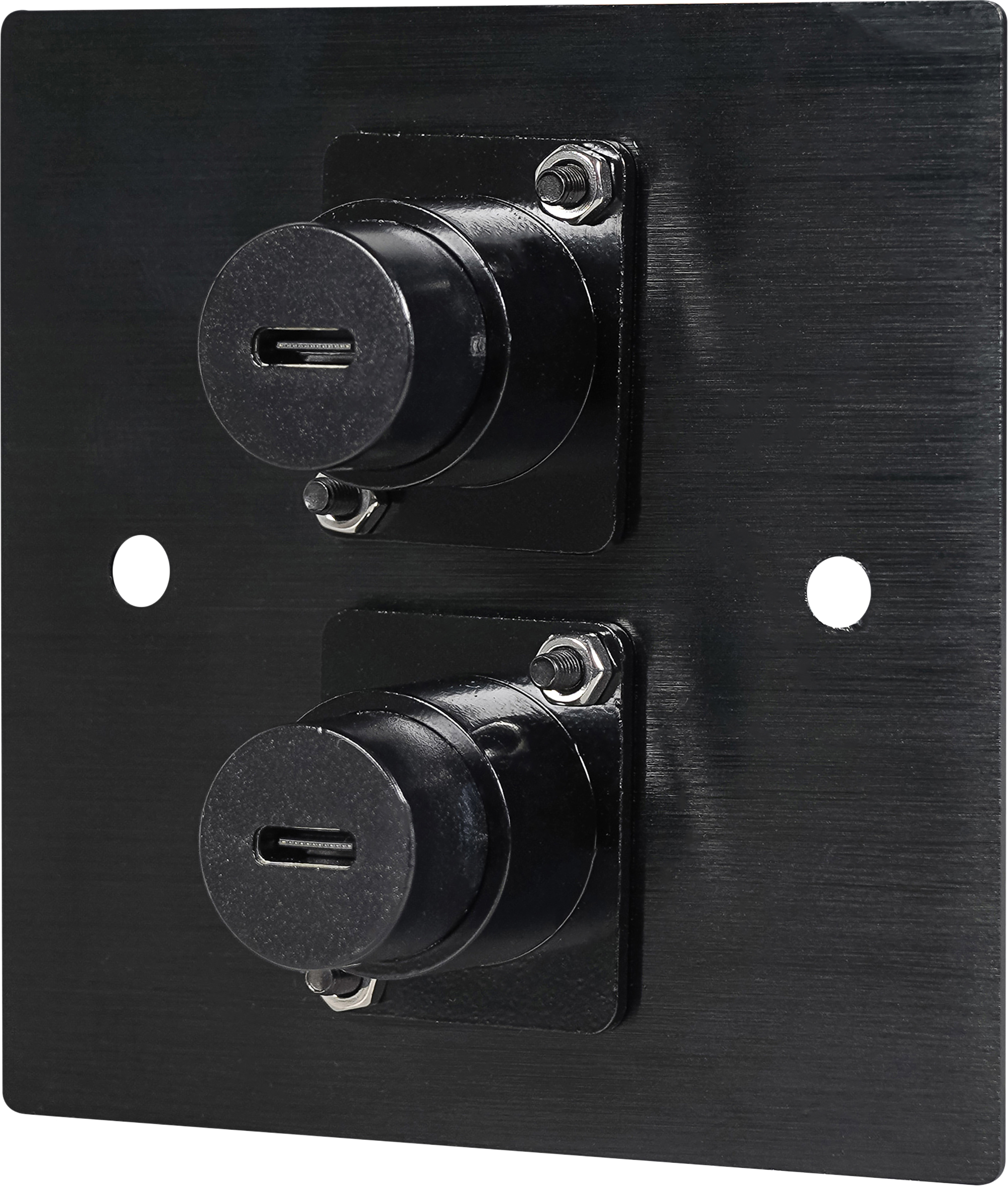 2 x USB C Sockets Feedthrough Wall Plate Metal | Electrovision