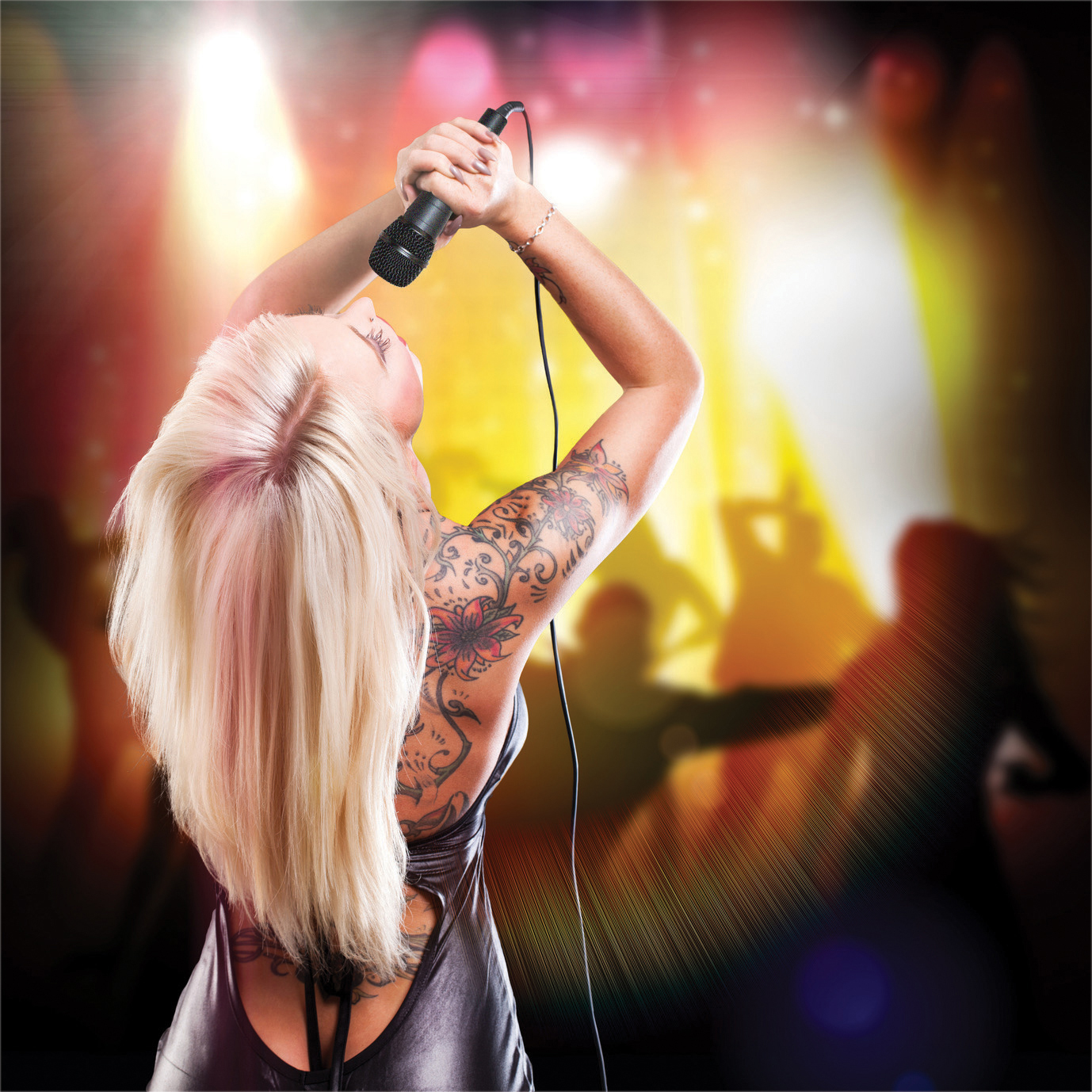 SoundLAB Dynamic Handheld Microphone 600 Ohm | Electrovision